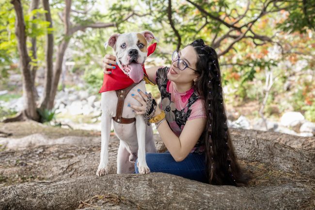 Historias – Perruno