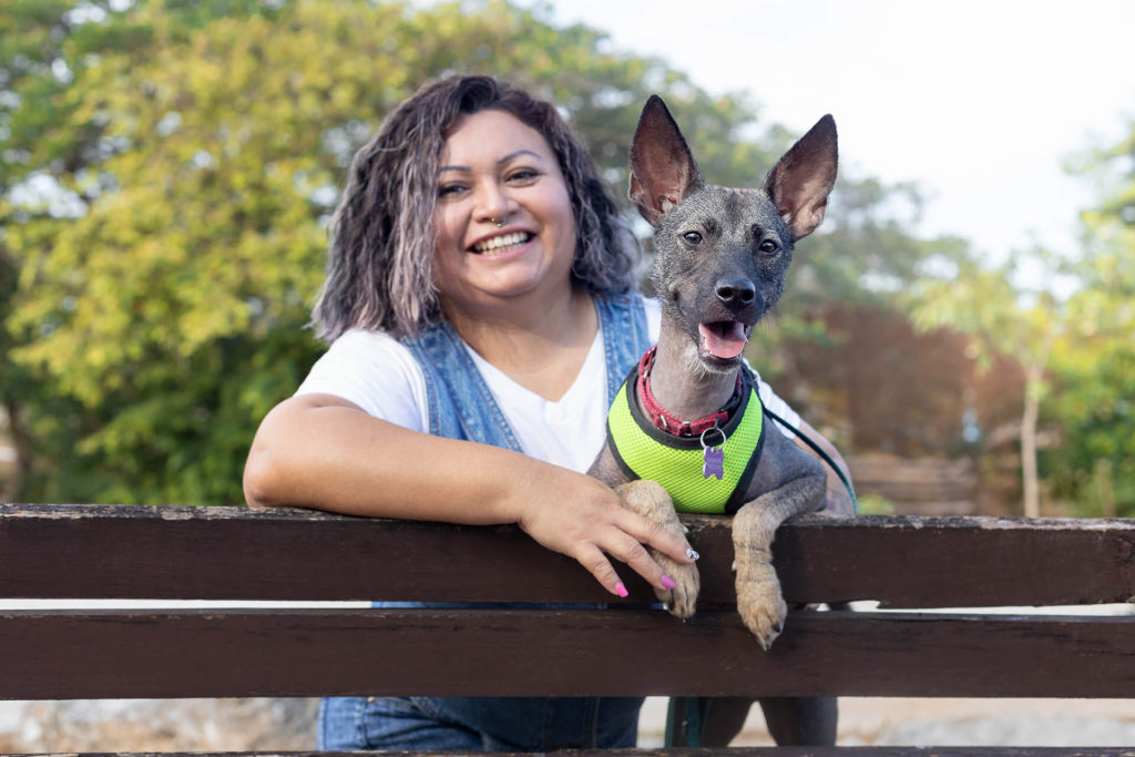 Historias – Perruno