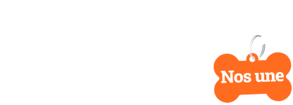 Contáctanos – Perruno